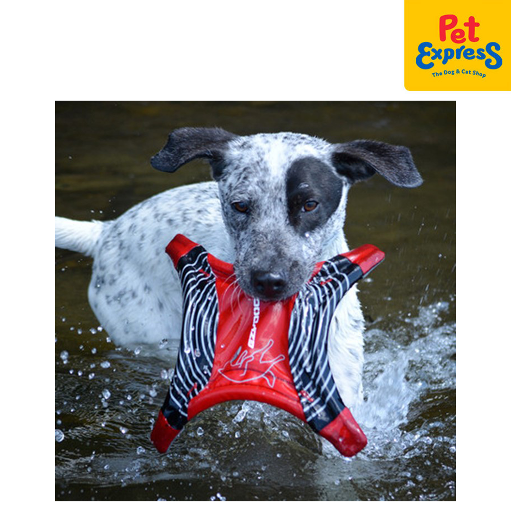 EzyDog Star Frisbee Dog Toy Red – Pet Express