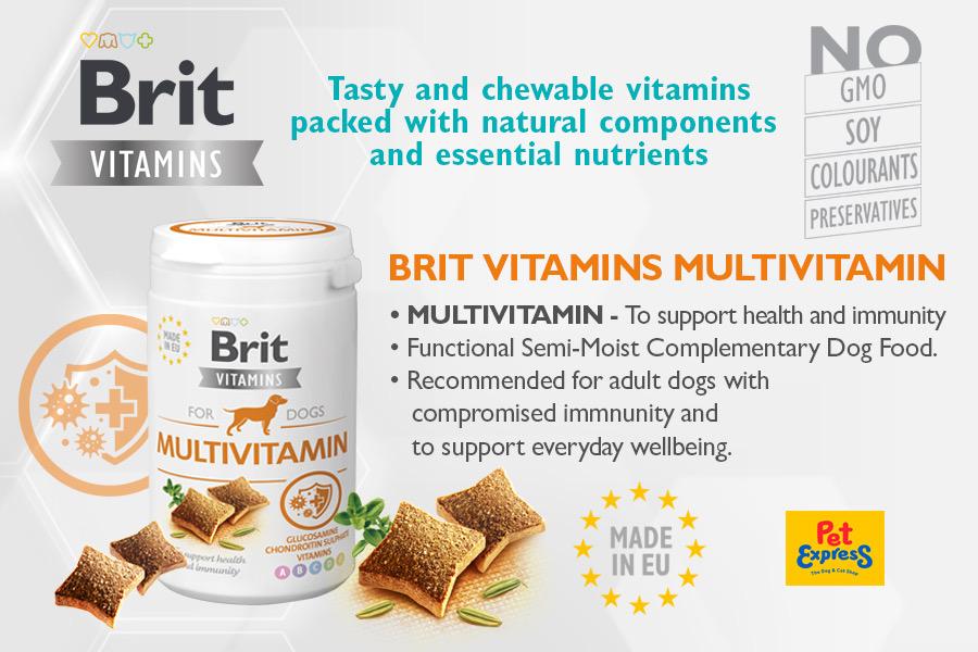 Brit Vitamins Multivitamin Dog Supplement 150g | Pet Express