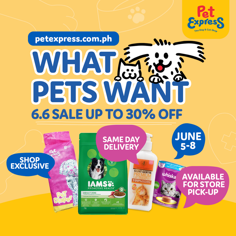 Pet Store In Philippines - Treats for Dogs & Cats | Pet Express