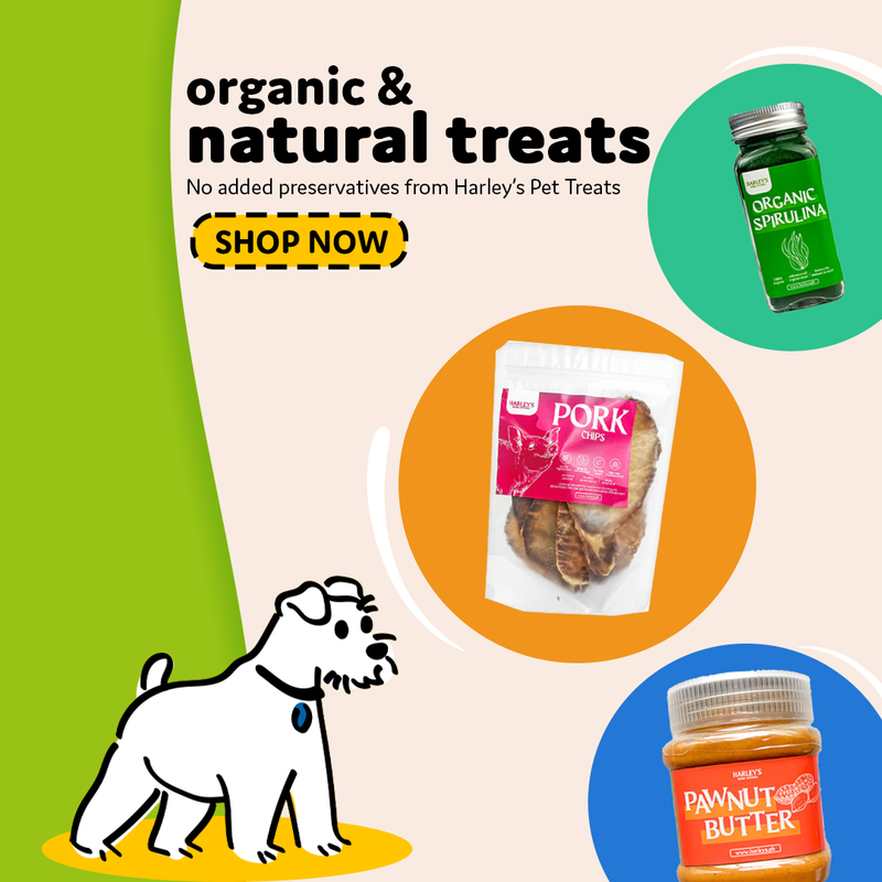 Pet Store In Philippines - Treats for Dogs & Cats | Pet Express