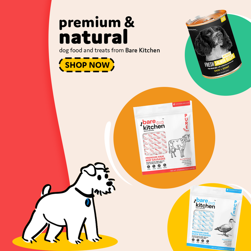 Pet Store In Philippines - Treats for Dogs & Cats | Pet Express
