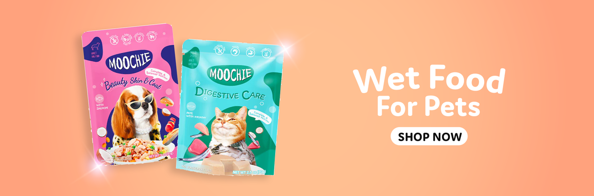 Pet Store In Philippines - Treats for Dogs & Cats | Pet Express