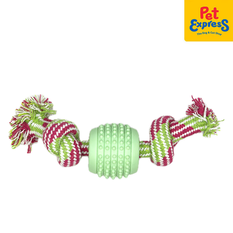 Lucky Dog Double Dental Rope Dog Toy Green – Pet Express