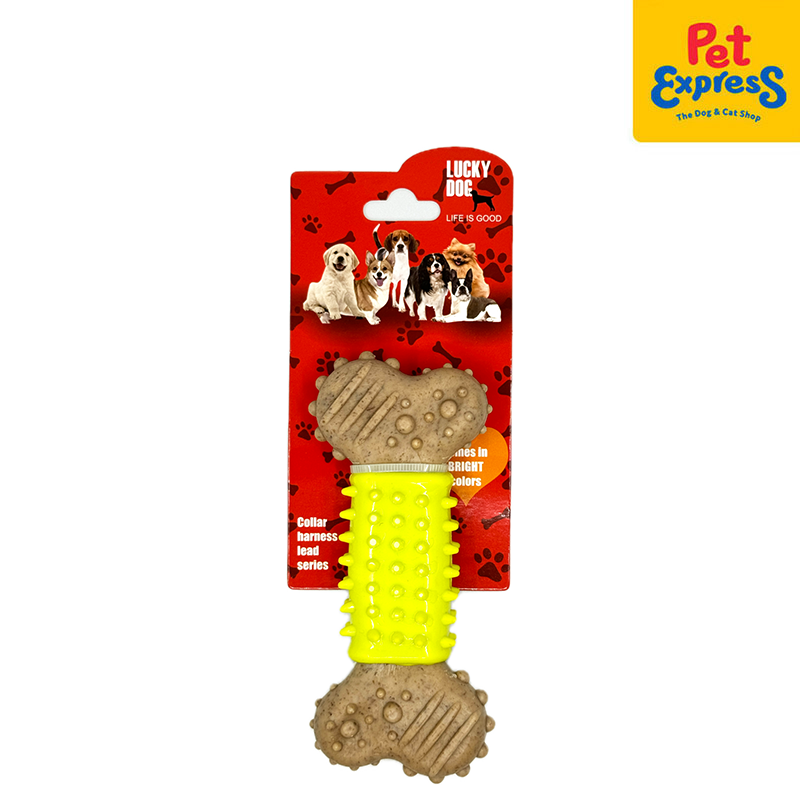 Lucky Dog Bone Shaped Chew Dog Toy Green – Pet Express