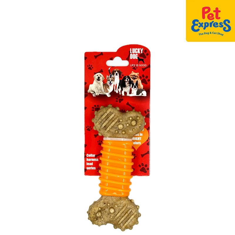 Lucky Dog Bone Shaped Chew Dog Toy Orange – Pet Express