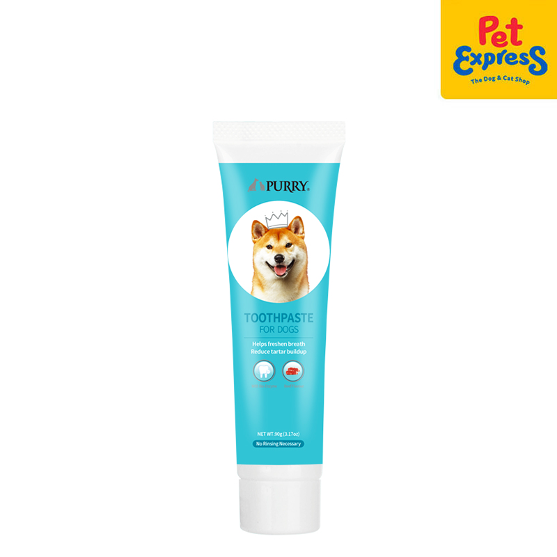 Purry Beef Toothpaste for Dogs 90g | Pet Express