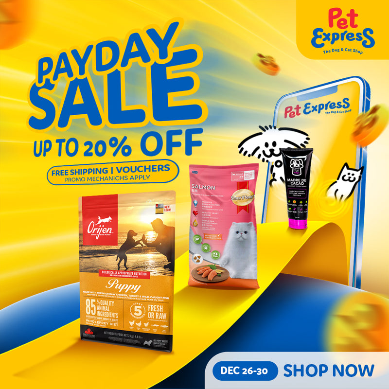 Pet Store In Philippines - Treats for Dogs & Cats | Pet Express