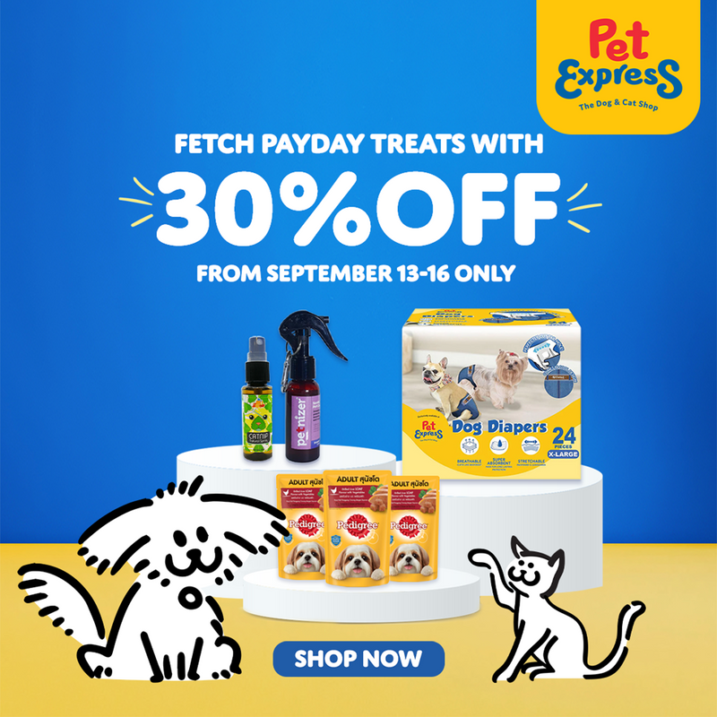 Pet Store In Philippines - Treats for Dogs & Cats | Pet Express