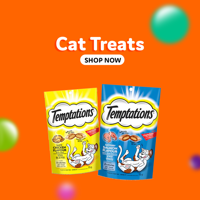 Pet Store In Philippines - Treats for Dogs & Cats | Pet Express