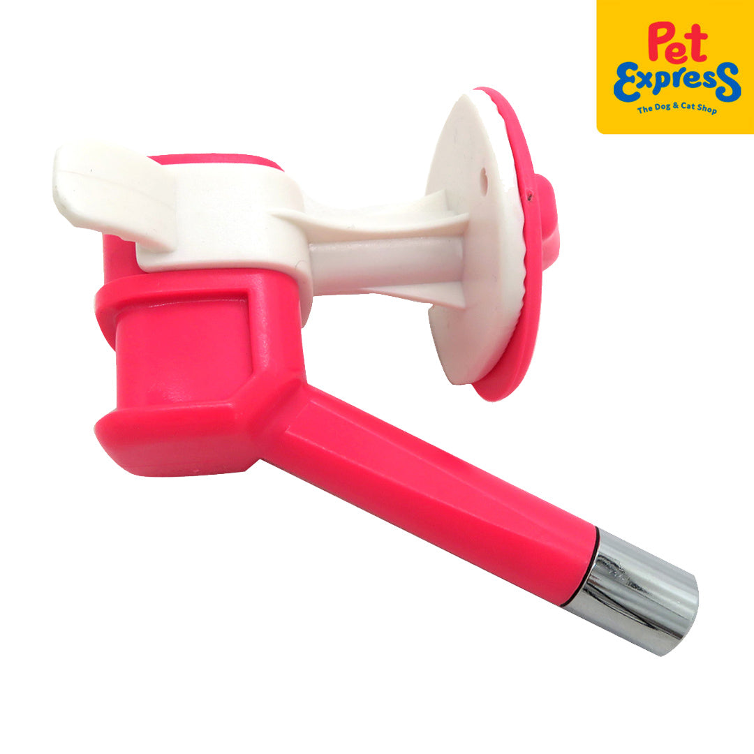 Shop Pet Bowls and Feeders Online | Pet Express | Pet Express