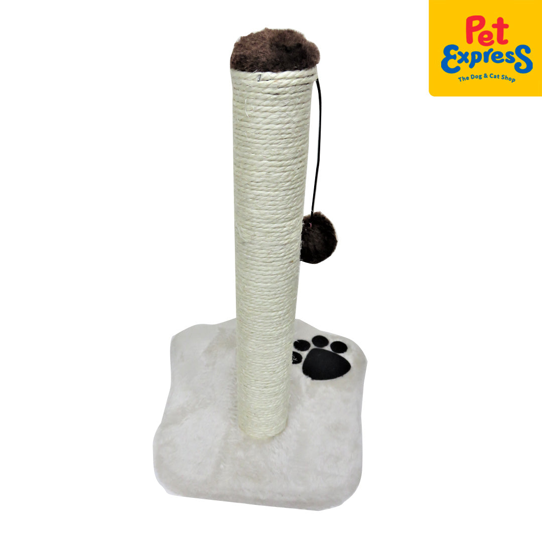 Approved Paw Scratch Post – Pet Express