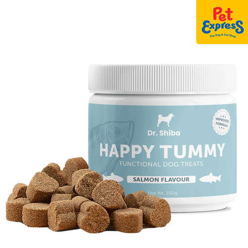 Dr. Shiba Happy Tummy Salmon Dog Treats 250g – Pet Express