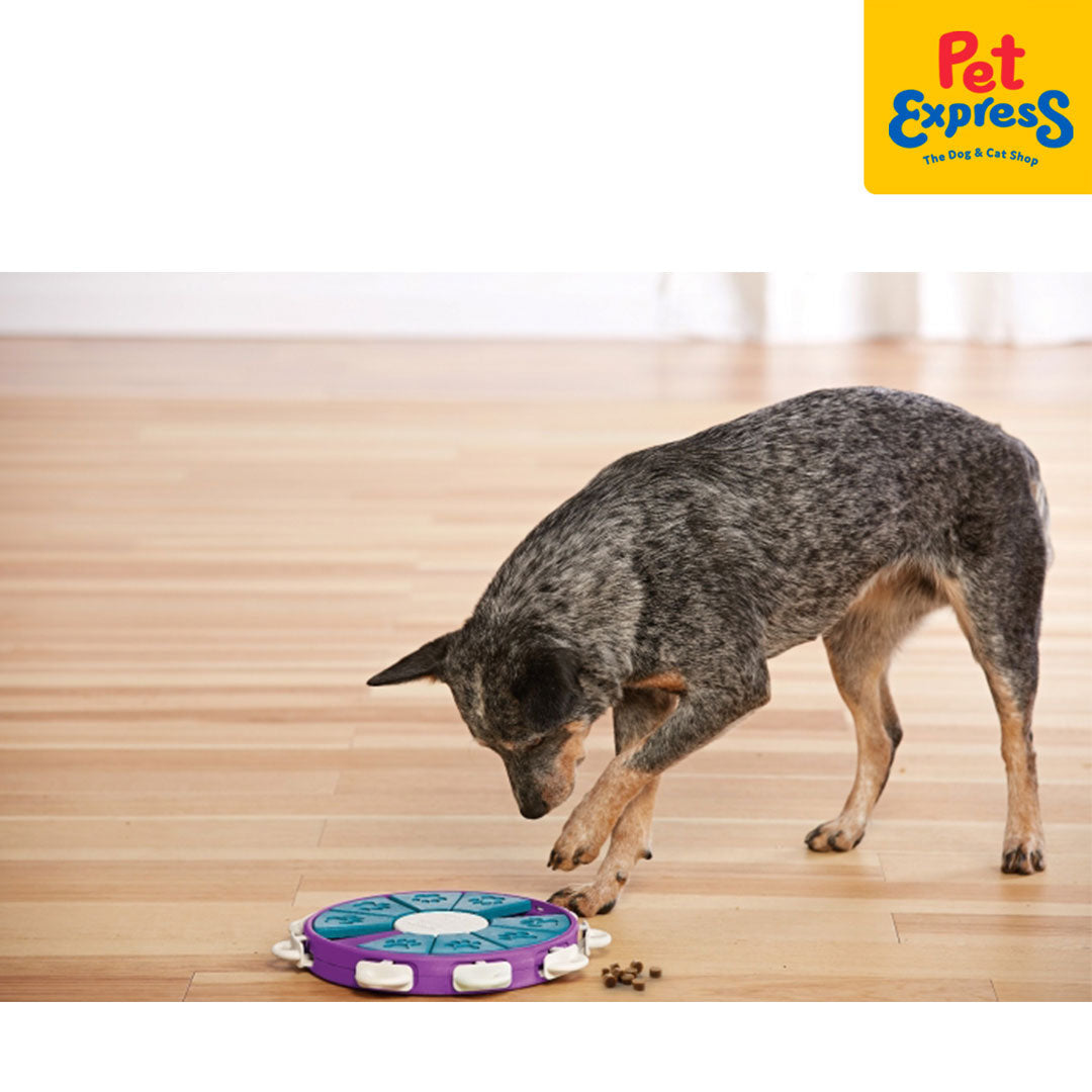 Nina Ottosson Twister Interactive Level 3 Dog Toy – Pet Express